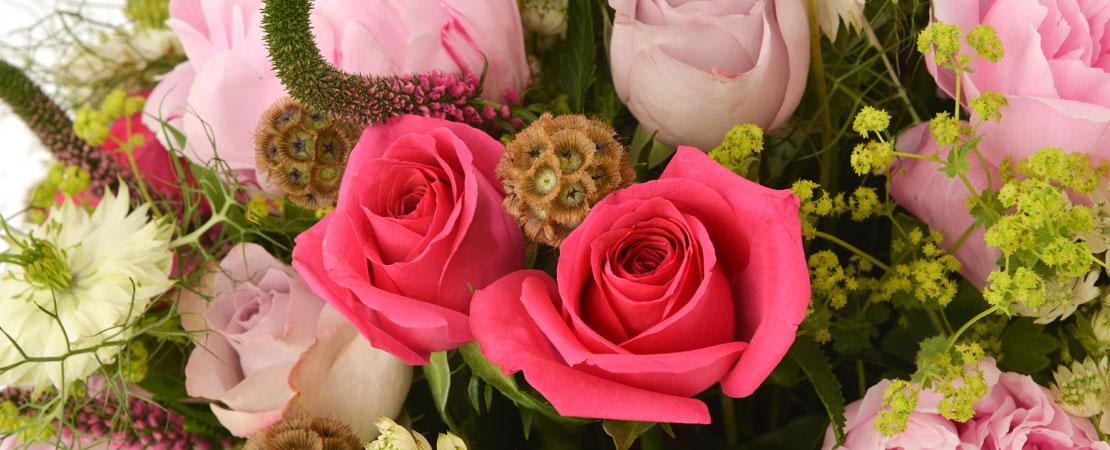 Petal Power - Interflora Florist Newtownards - send flowers to County ...